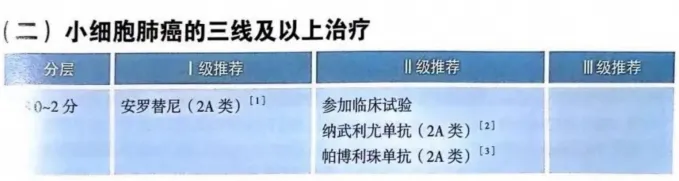 疾病控制率为88.9%，三特异性抗体新药ZG006治疗小细胞肺癌临床研究数据公布，为患者带来新希望 - 北京凯石国际医疗技术有限公司